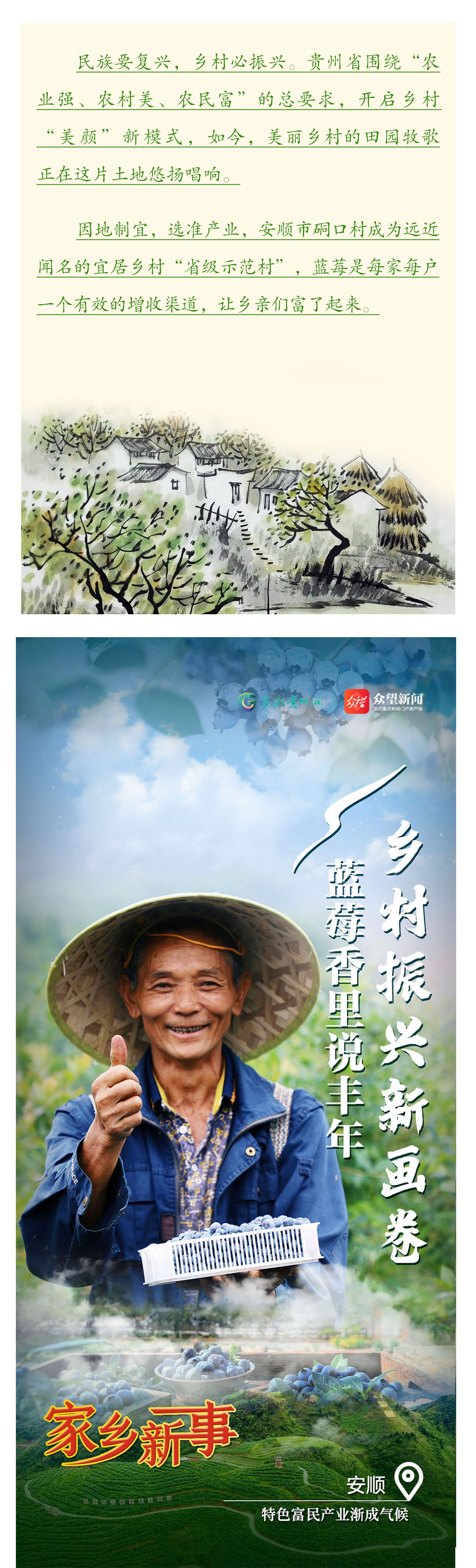 Anshun Tongkou Village Blueberry Fragrant Says Good Years - iNEWS