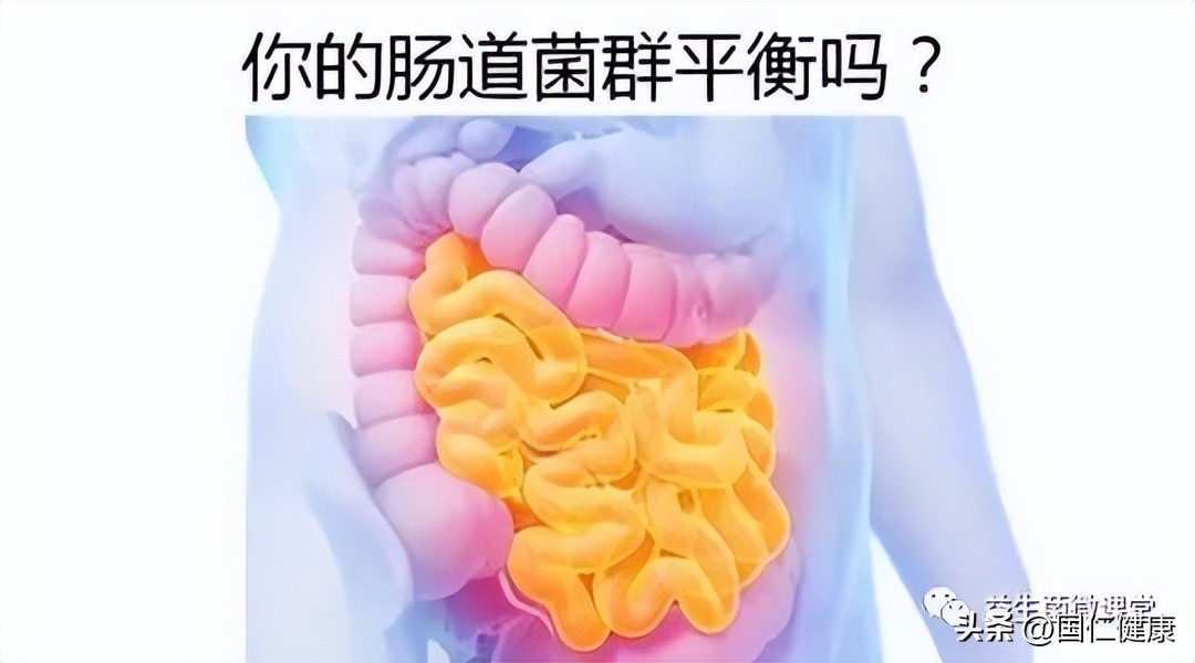 What are the signs of gut microbiome imbalance? - iNEWS