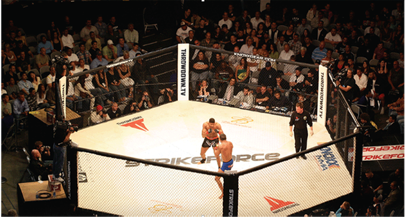 The new work "In the Octagonal Cage" directed by Wang Baoqiang and the ...