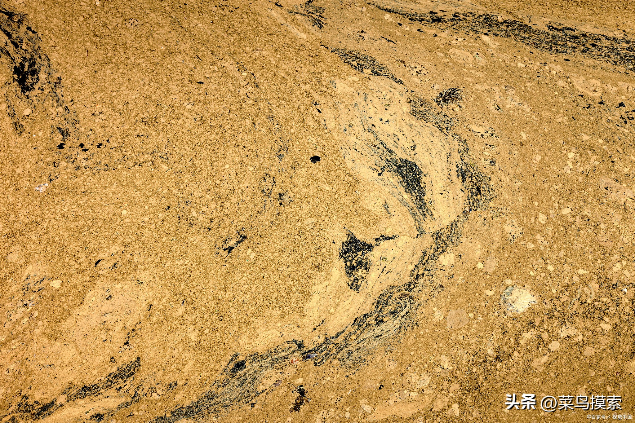 What do the surface structure and geological characteristics of Venus ...