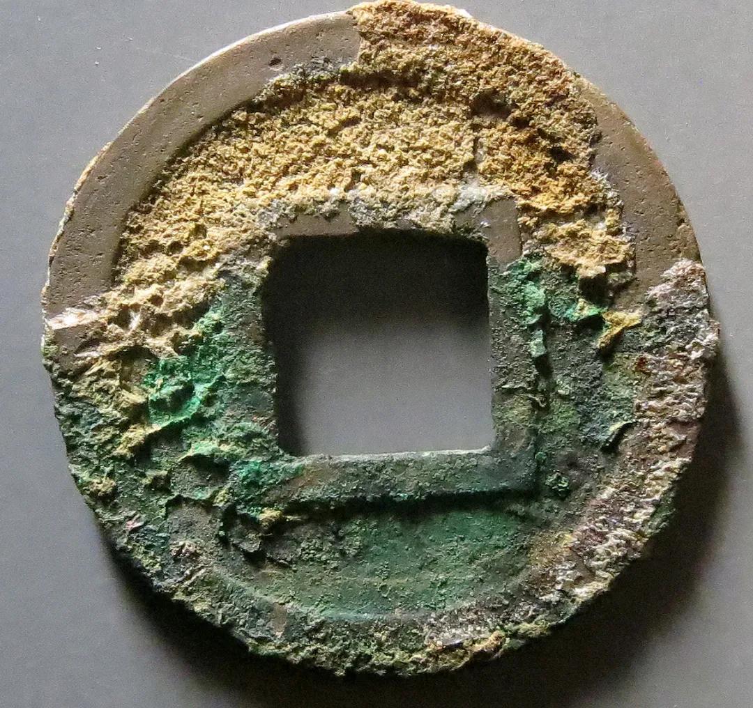 What are the characteristics of Sui Zhi-like Wuzhu, why are they the ...