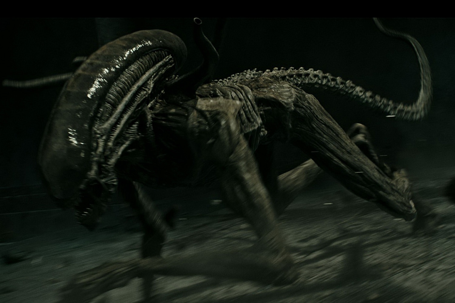 The use of shadow and light in "Alien" to create atmosphere and portray ...