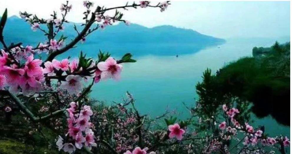 Small print Juanjuan Fu Sujian - iNEWS