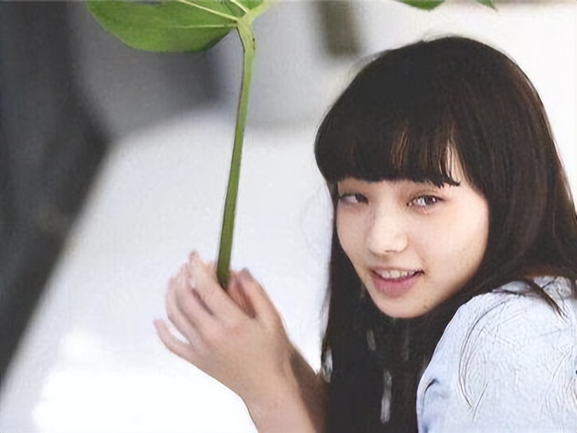 Japan's top ten poor-breasted (flat-chested) actresses, Horikita Maki's ...