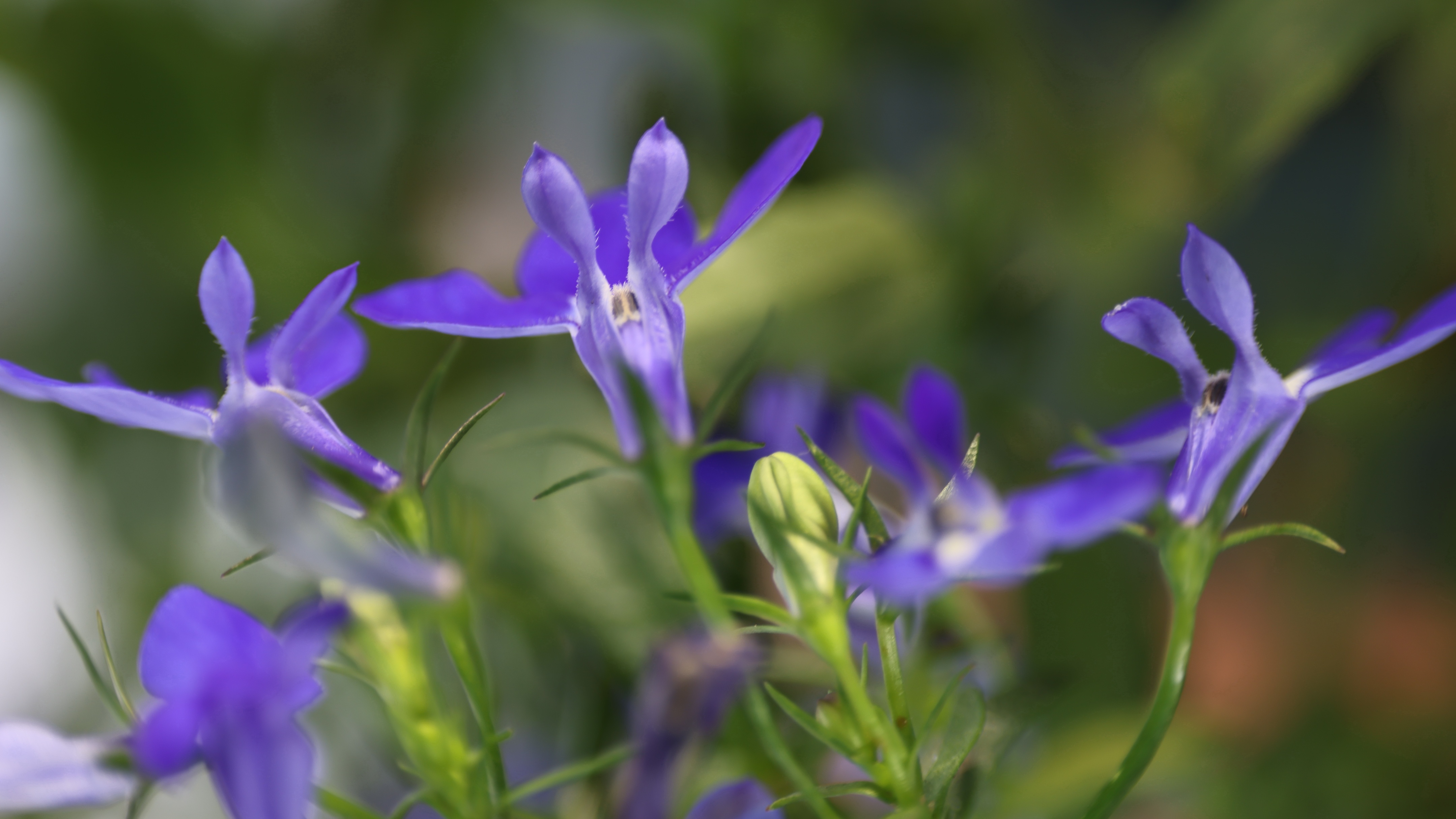 Six times the profit helps you earn six times the profit - iMedia