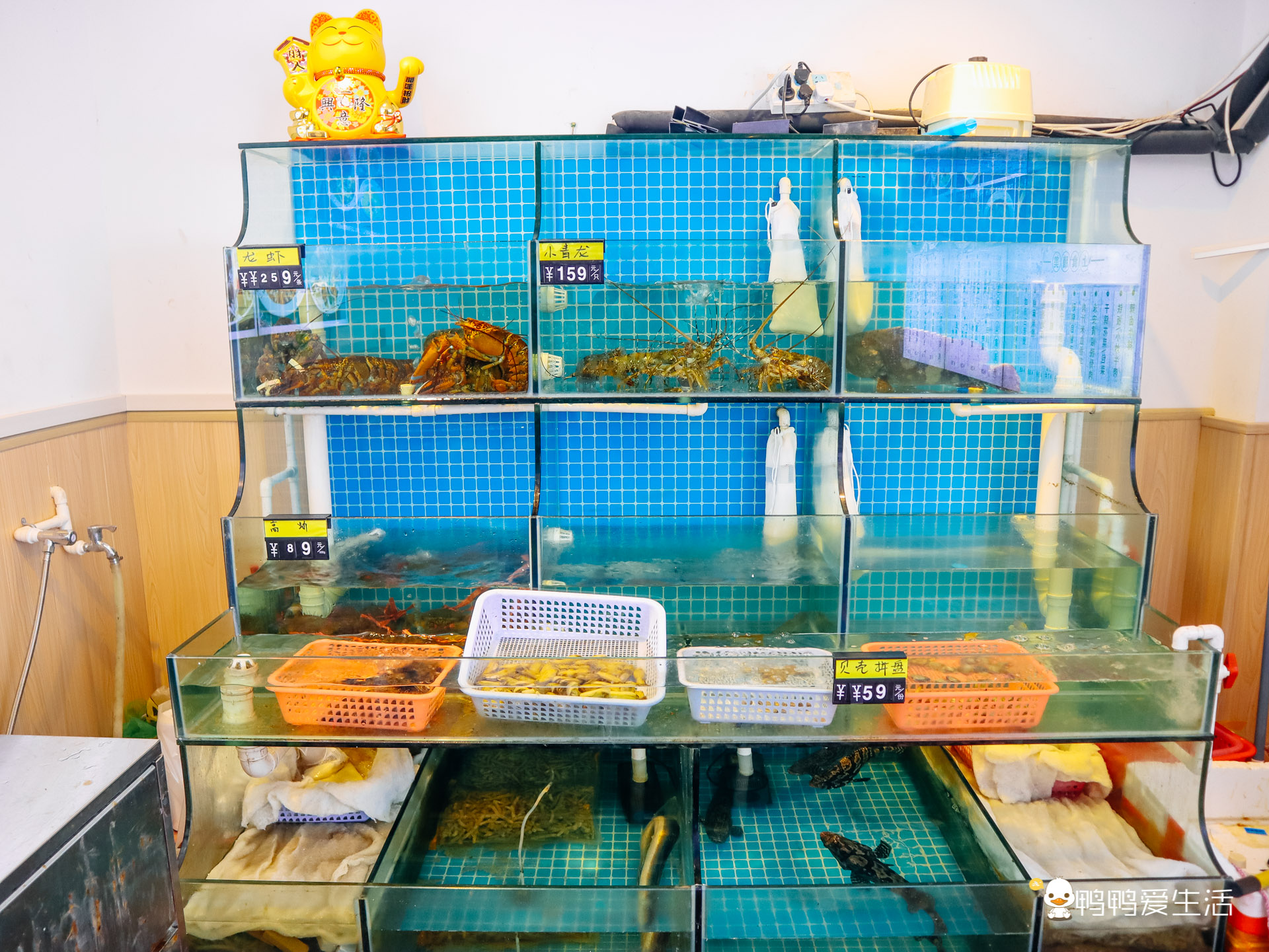 New store in Xiamen: Shuwei Seafood opened in Xinglin, 80 per person ...