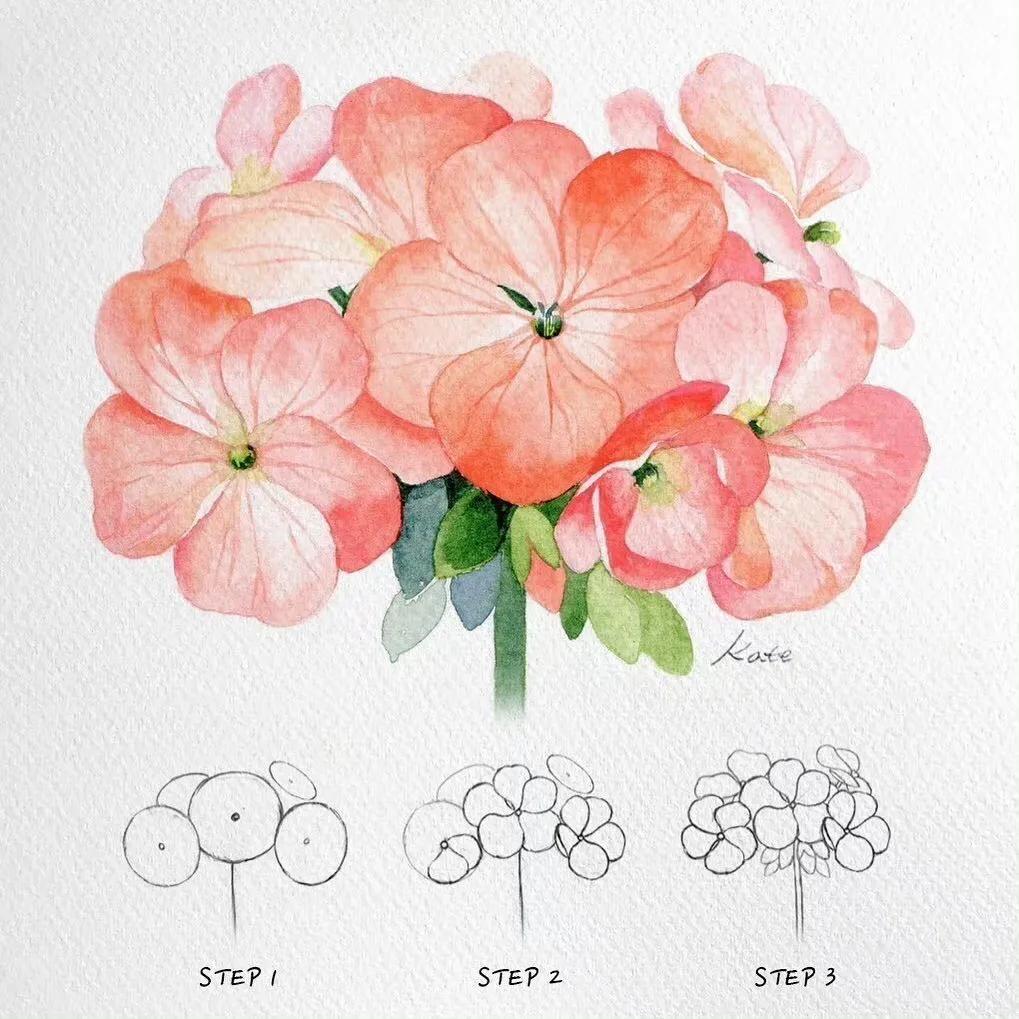 A group of Qingxiao Qinggang watercolor flower works Artist: Kate ...