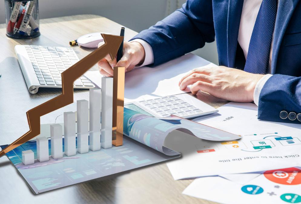 Discussion on the impact of gambling preference, financial information ...