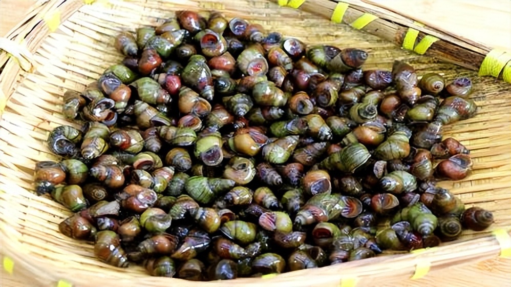 Don't be greedy for these 5 kinds of food anymore, the parasites in it ...