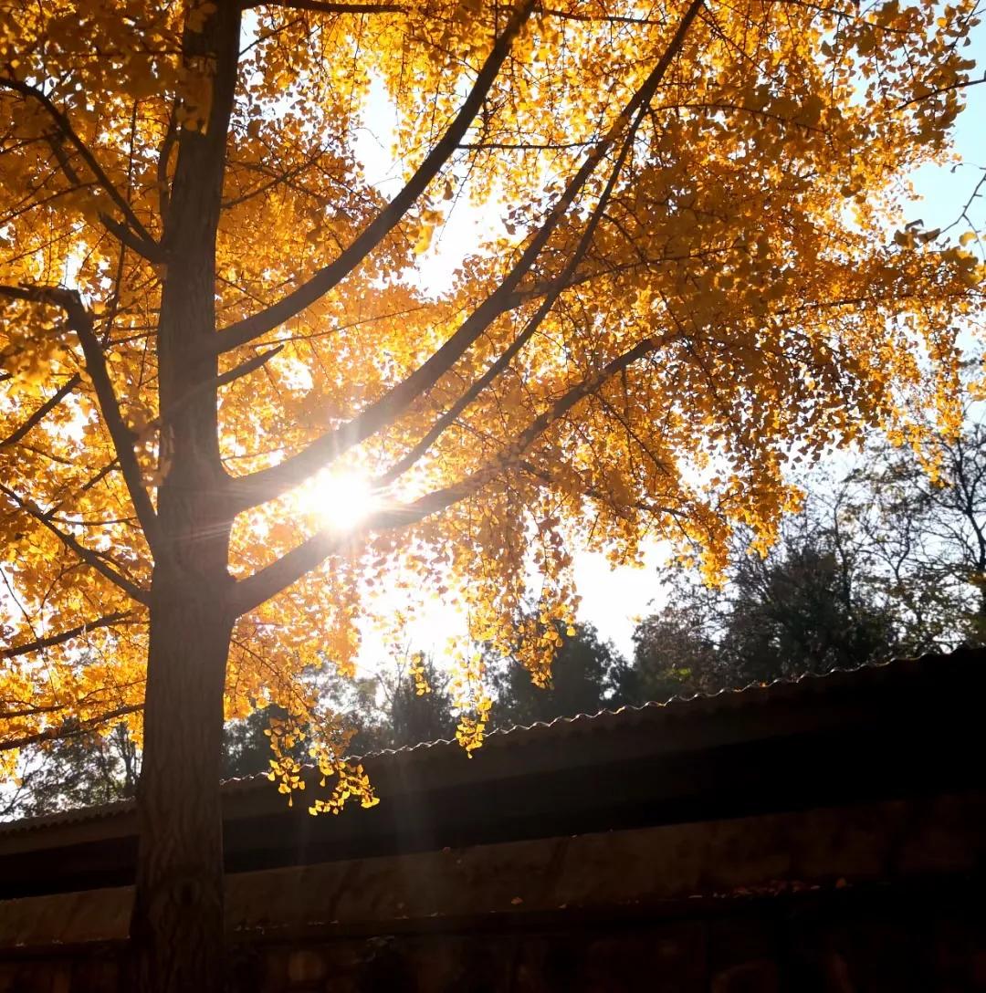 Recalling Teacher Wang Xun - iNEWS