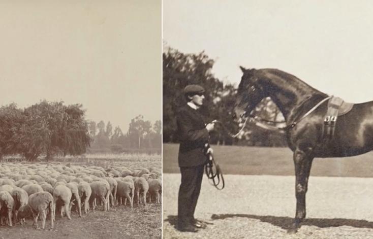 The most inhumane experiment in the former Soviet Union - iNEWS