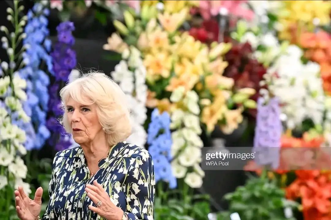 Kate may become the second Diana, Charles is upset, Camilla is angry ...