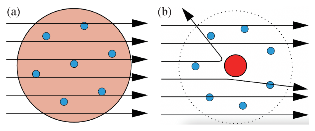 The Strong Interaction Nobel Prize - iMedia