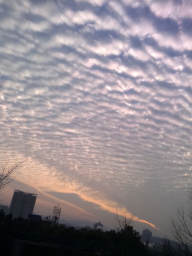 Do seismic clouds exist?A strange cloud appeared before the Sichuan ...