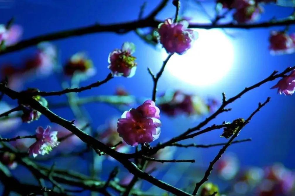 Tonight I know that spring is warm - iNEWS