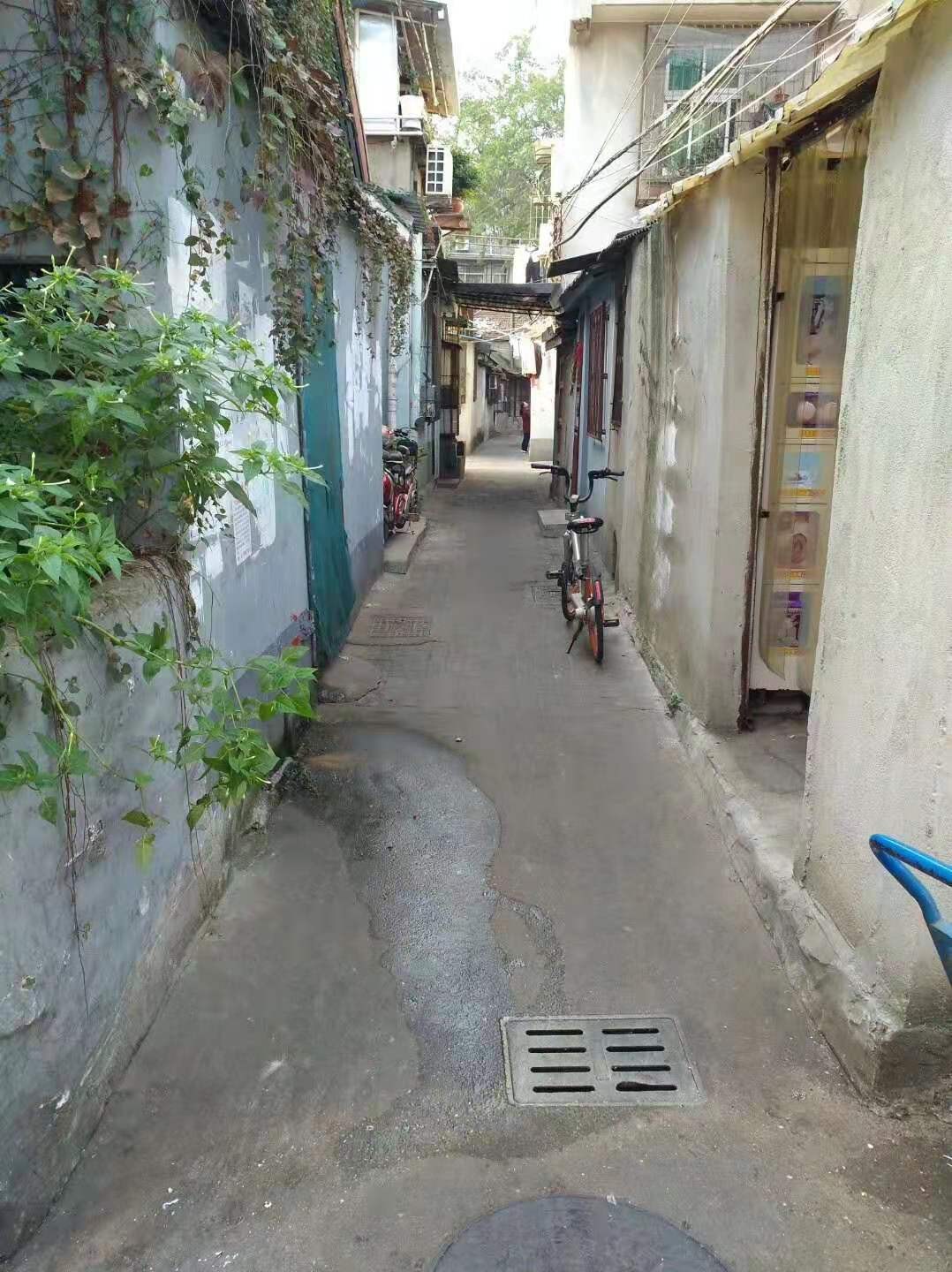 The final victory bridge (five): offshoot of the side alley - iNEWS