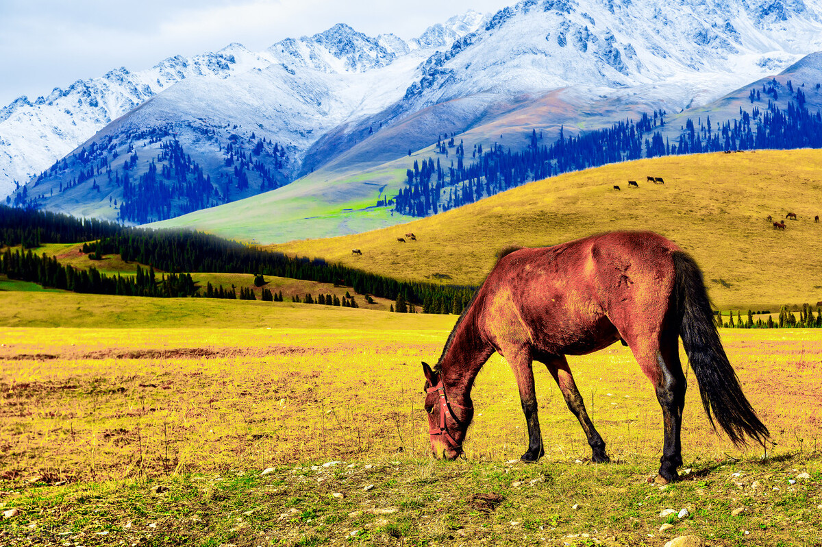 Original Prose Ⅱ My damn artistic cells - iNEWS