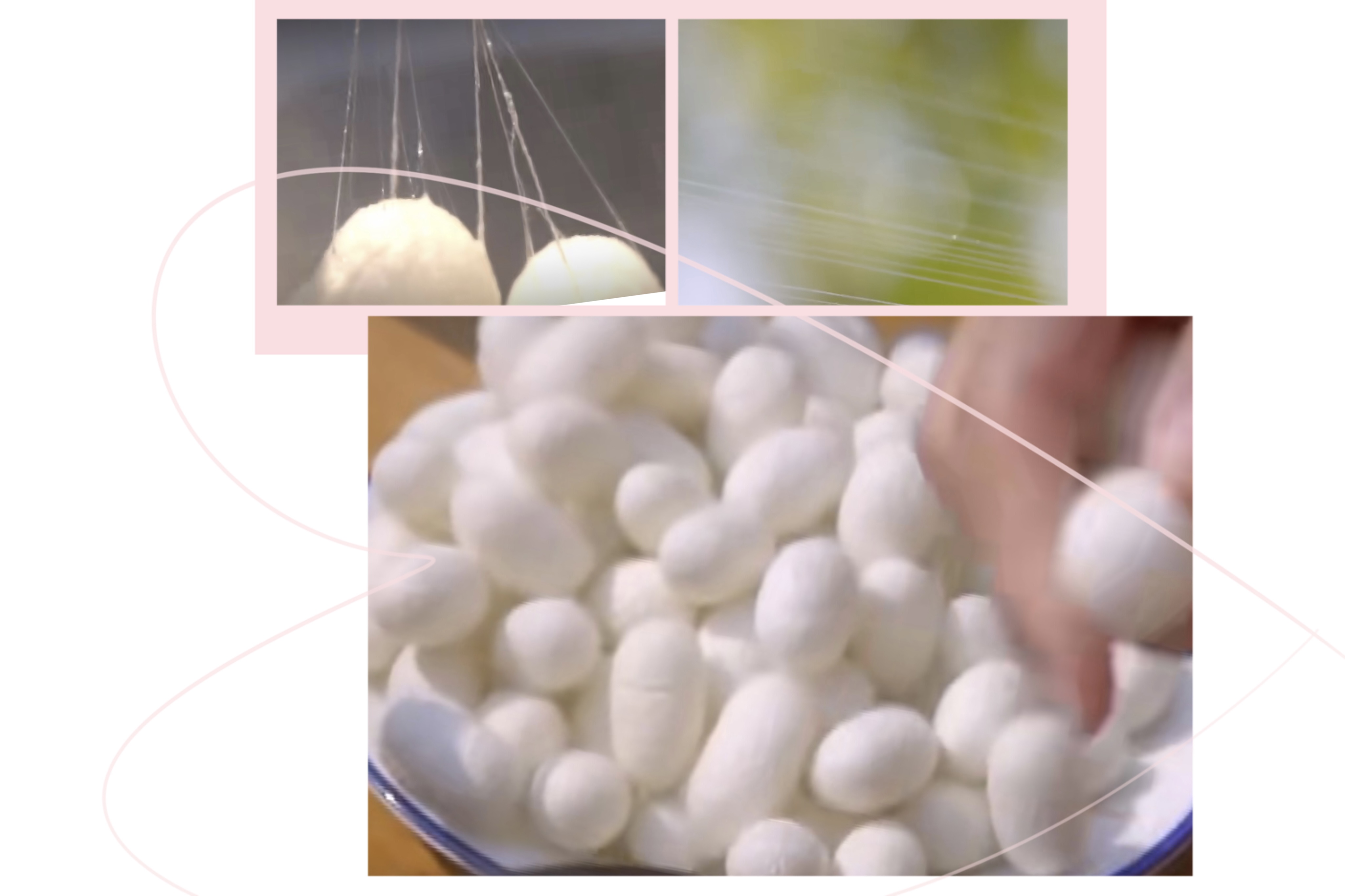 There is Xiaoman in the day, and Xiaoan in the year. - iMedia