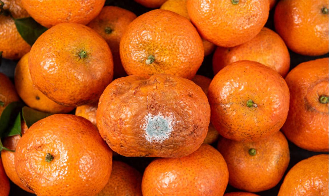 Stop eating this "harmful fruit" immediately. It may be more harmful to ...