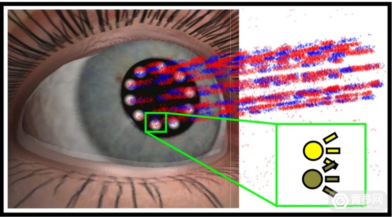 Meta Eye Tracking Study: Using Event Cameras with kHz Sampling Rates ...