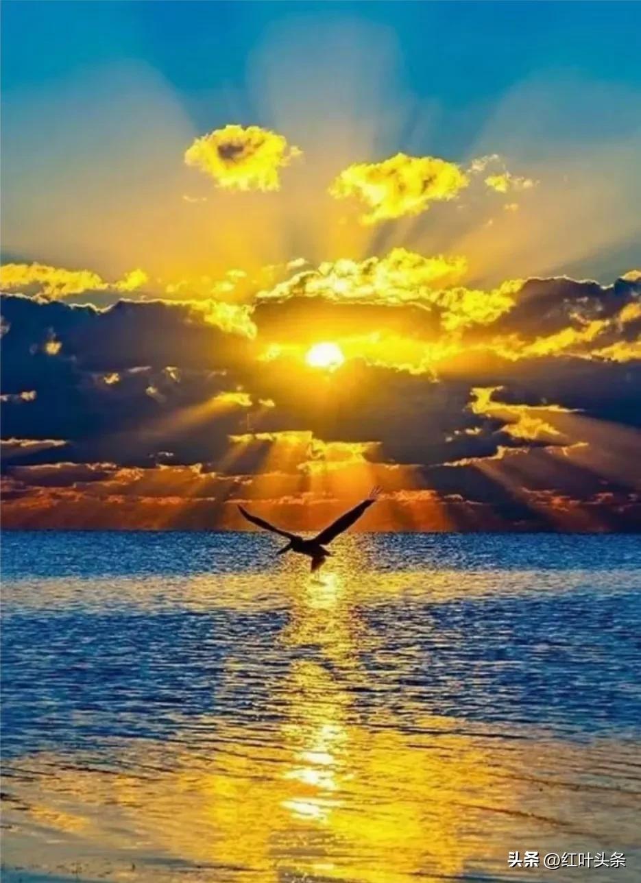 On the Six Poems. Jia Xixin - iNEWS