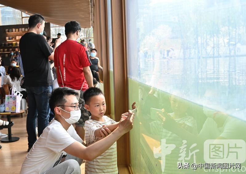 Chengdu: "Underwater" bookstore attracts people to check in - iNEWS