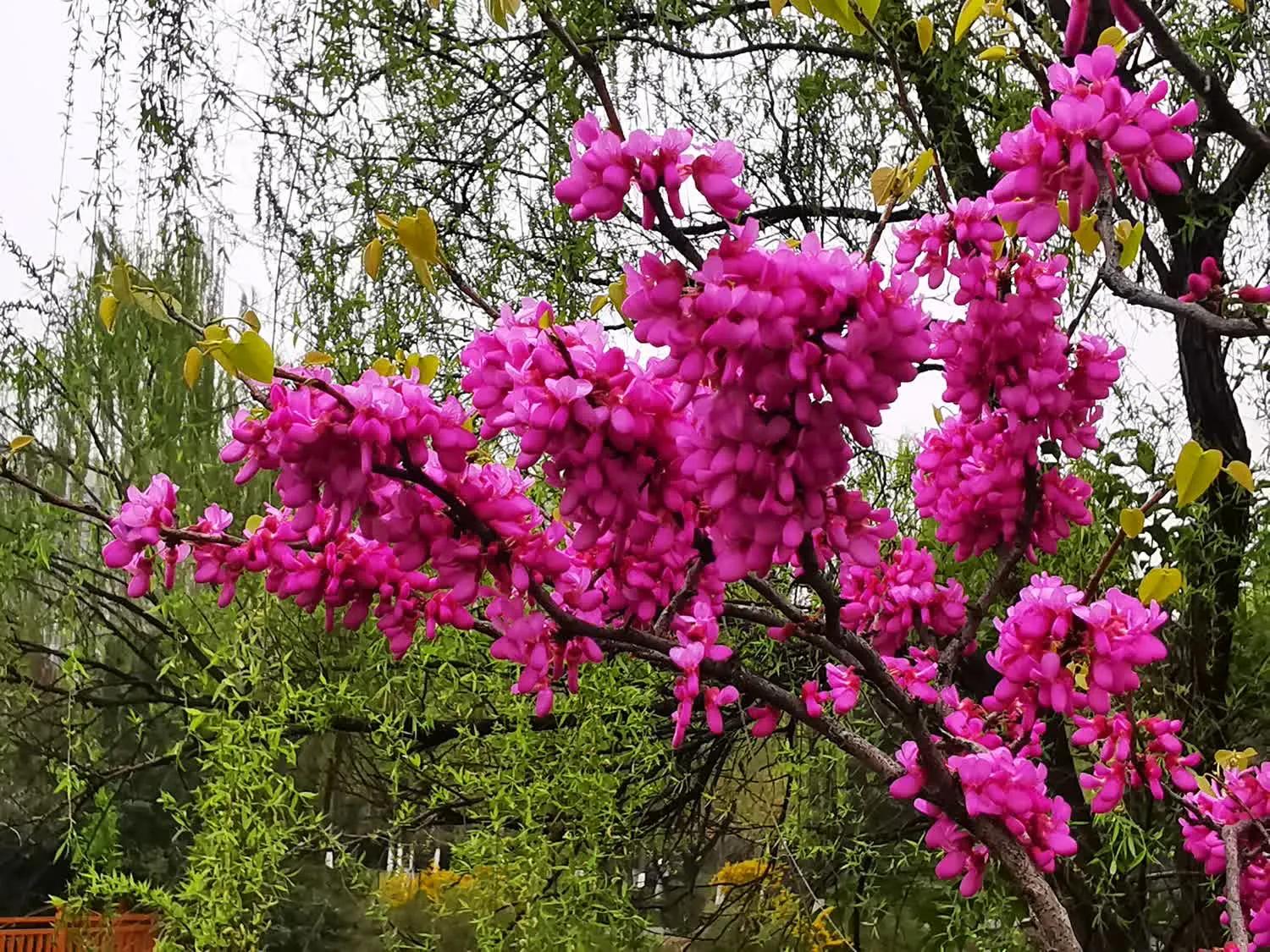 May you have hope in your heart and look for beauty. I will watch the ...