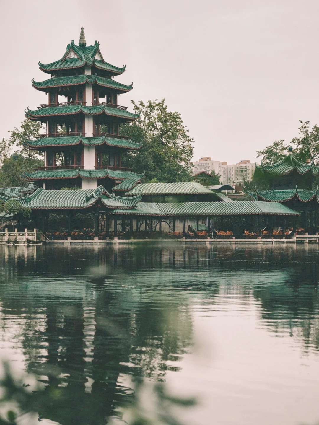 Chengdu rose blooming season is here!Crossing old Shanghai, classical ...