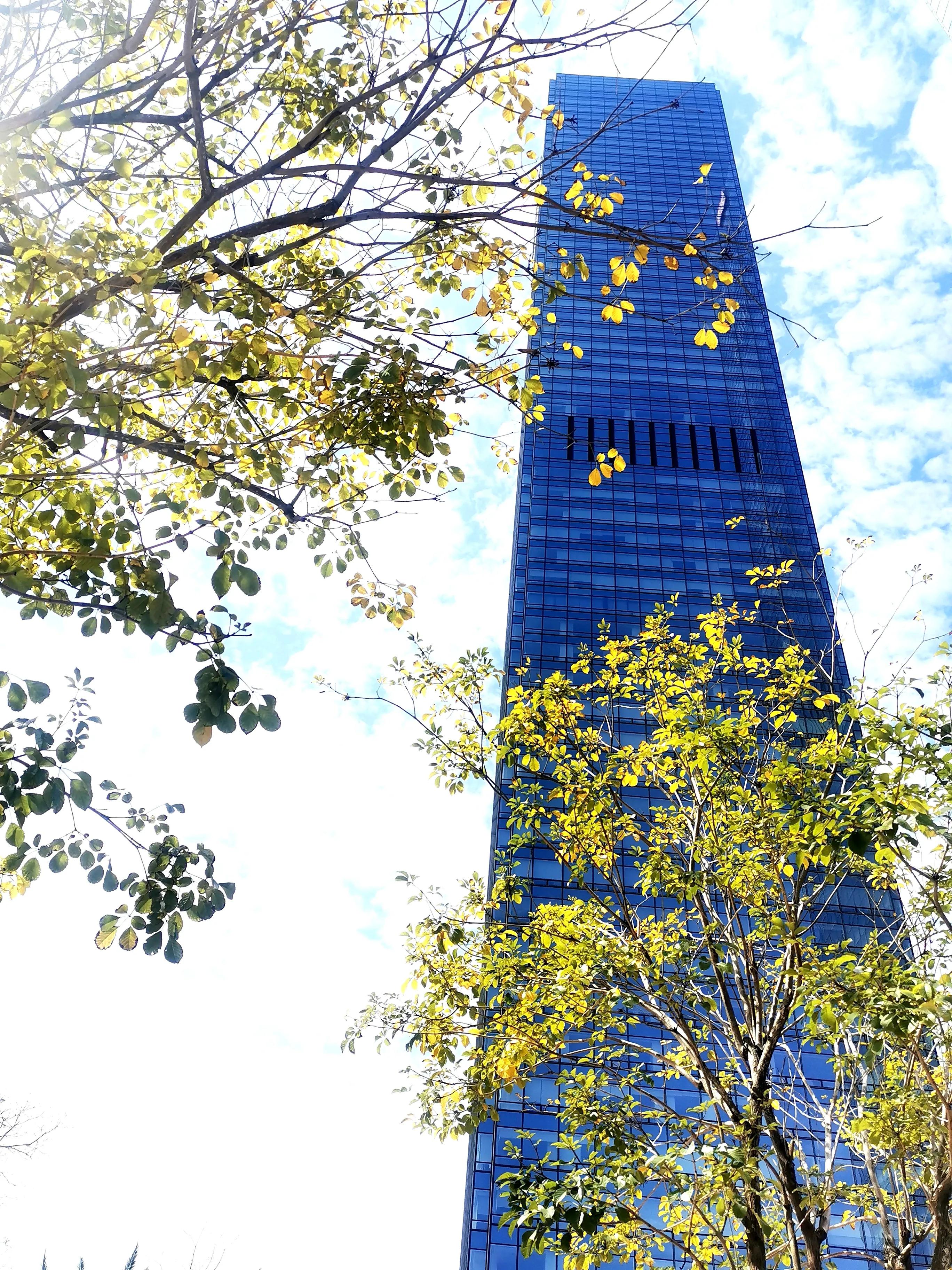 Beautiful turn!The fourth tallest skyscraper in Shenzhen, the covered ...