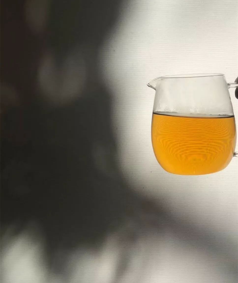 "Chen Jian said tea" tea, a leaf that warms China - iNEWS