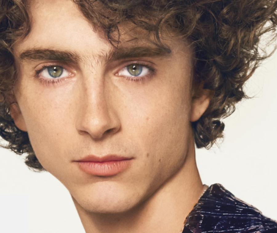 Sweet tea Timothée Chalamet's crooked face is getting more and more ...