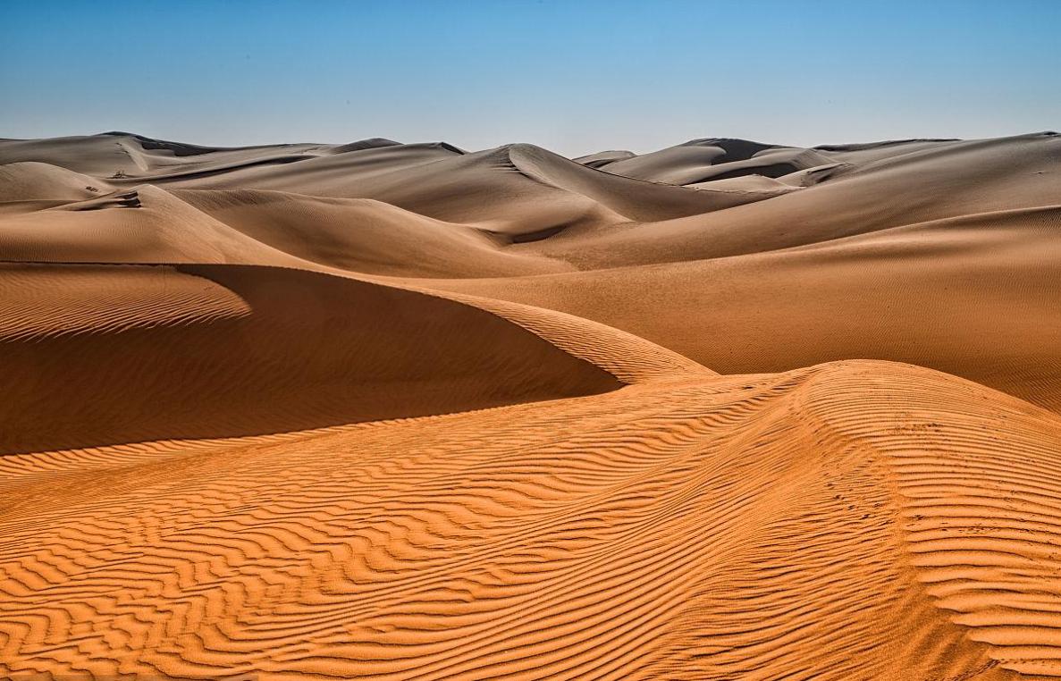 Analysis: Wonderful and Mysterious Desert, Desert Ecosystem, Landform ...