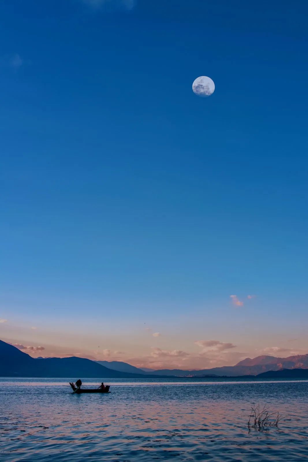 New travel variety show! Join Liu Yifei for a "Jump into a Geography ...
