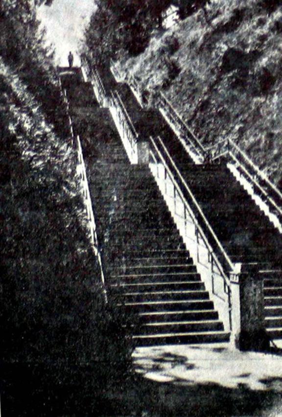 Xiao Yin 7 in the photo: A photo of Guangzhou "International Issues ...