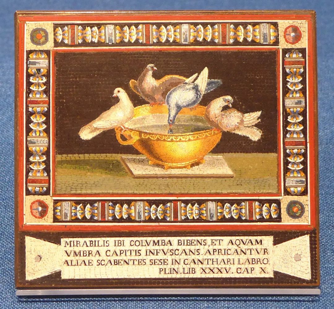 Mutual learning between the East and the West: Is it the "Pigeon of the ...