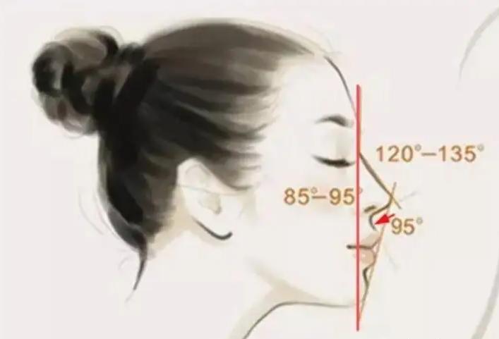 The increasingly important nasal base, does it really play a big role ...