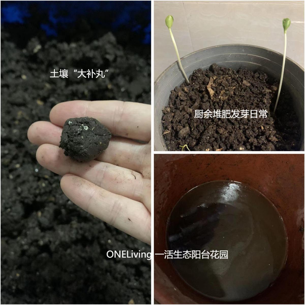 Soil version of "Dabu Pills", how much tonic?Do not spend money on ...