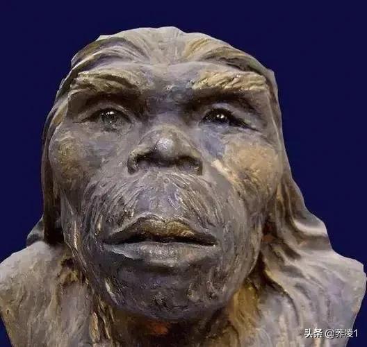 Who is the most primitive Homo erectus in China? - iNEWS