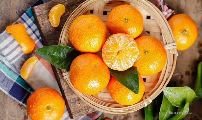 Encyclopedia of seasonal imported fruits - iMedia