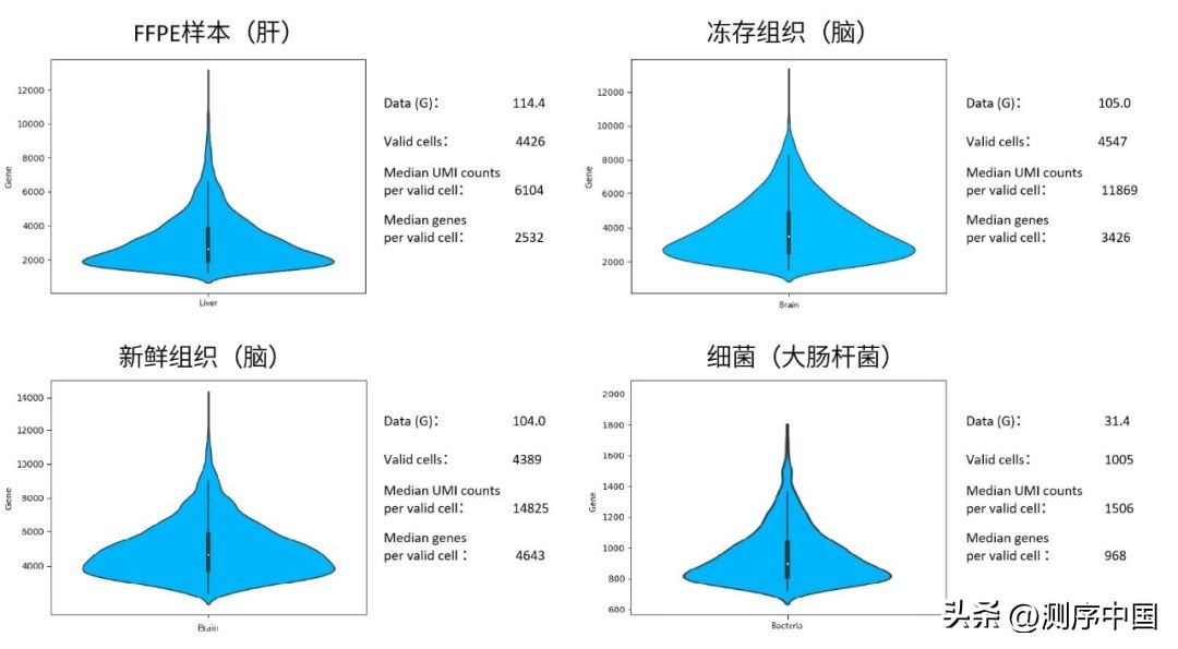 M20 Genomics Releases Random Primer-Based Whole-Sample High-throughput ...