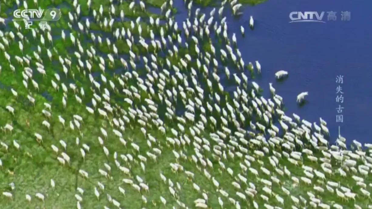 The Legendary Life Experience of the King of Wusun Kingdom - iNEWS