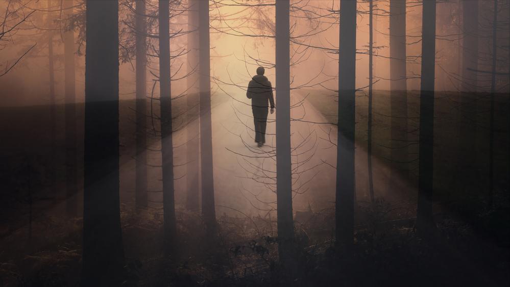 The end of a divided world: we are coming together - iNEWS