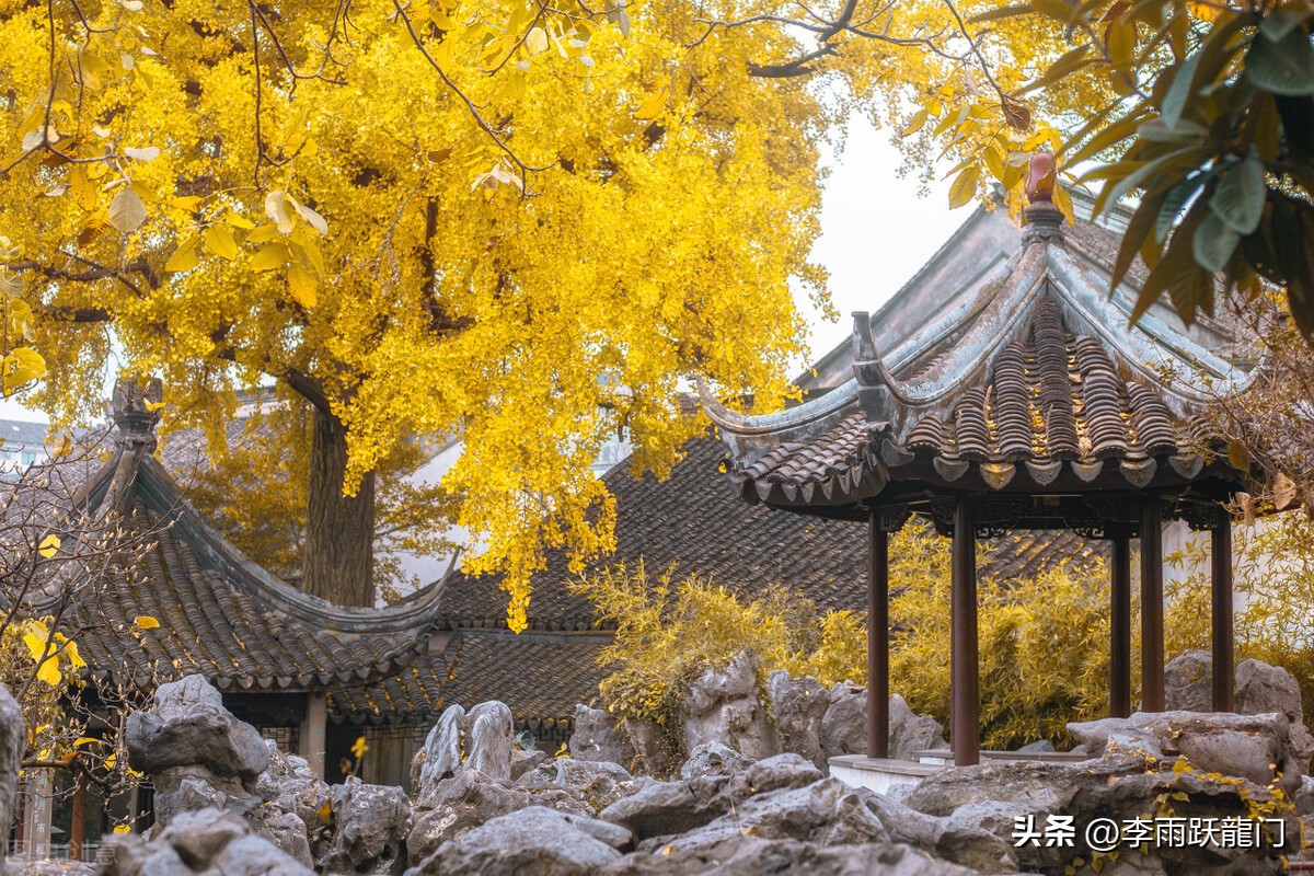 Chapter 4 "Ben De Zong Dao", Wisdom in Life 3: Don't Trust Superficial ...