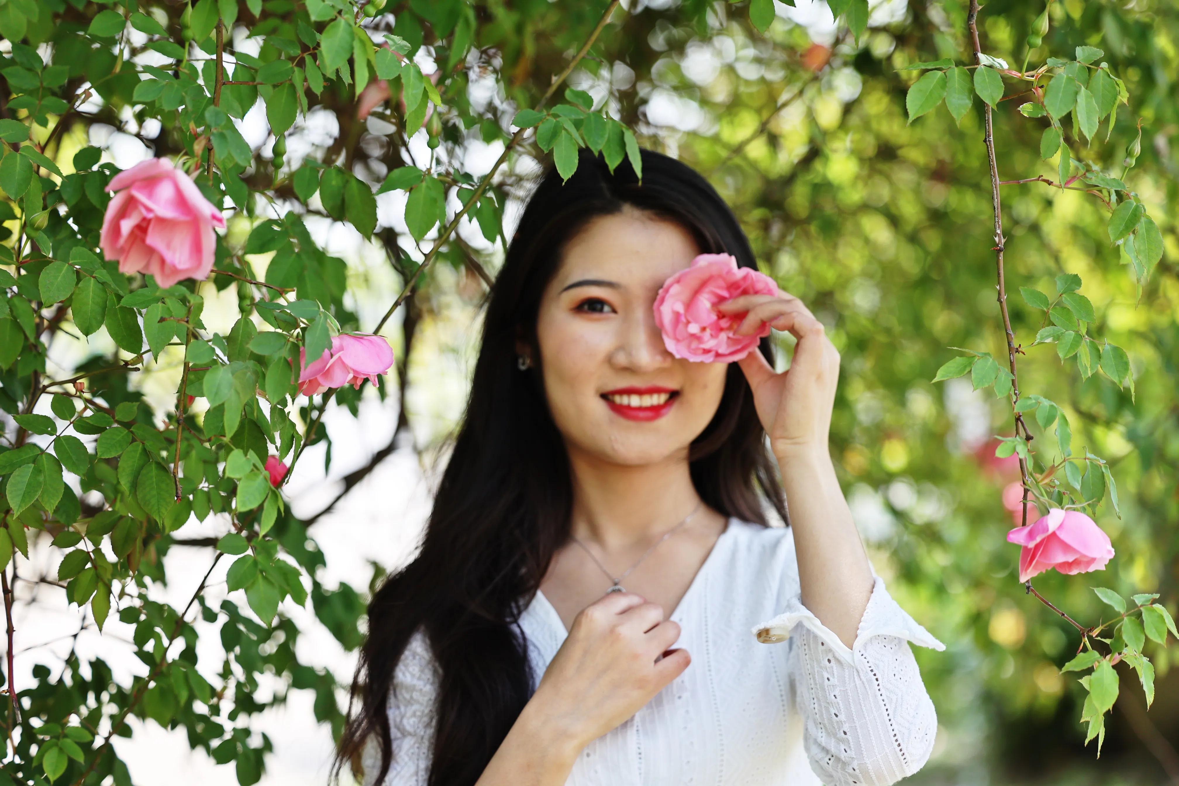 Roses, the season of the year, come back in April - iNEWS