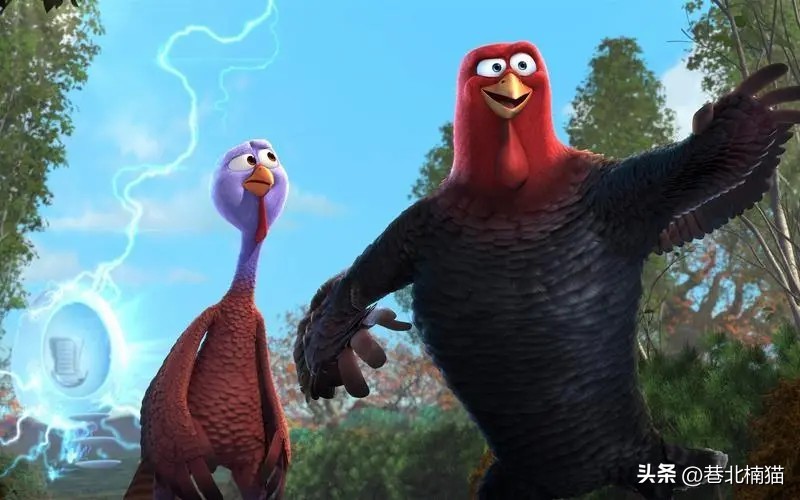 In order not to become table food, the chicken gradually became a "super turkey" like a falcon ...