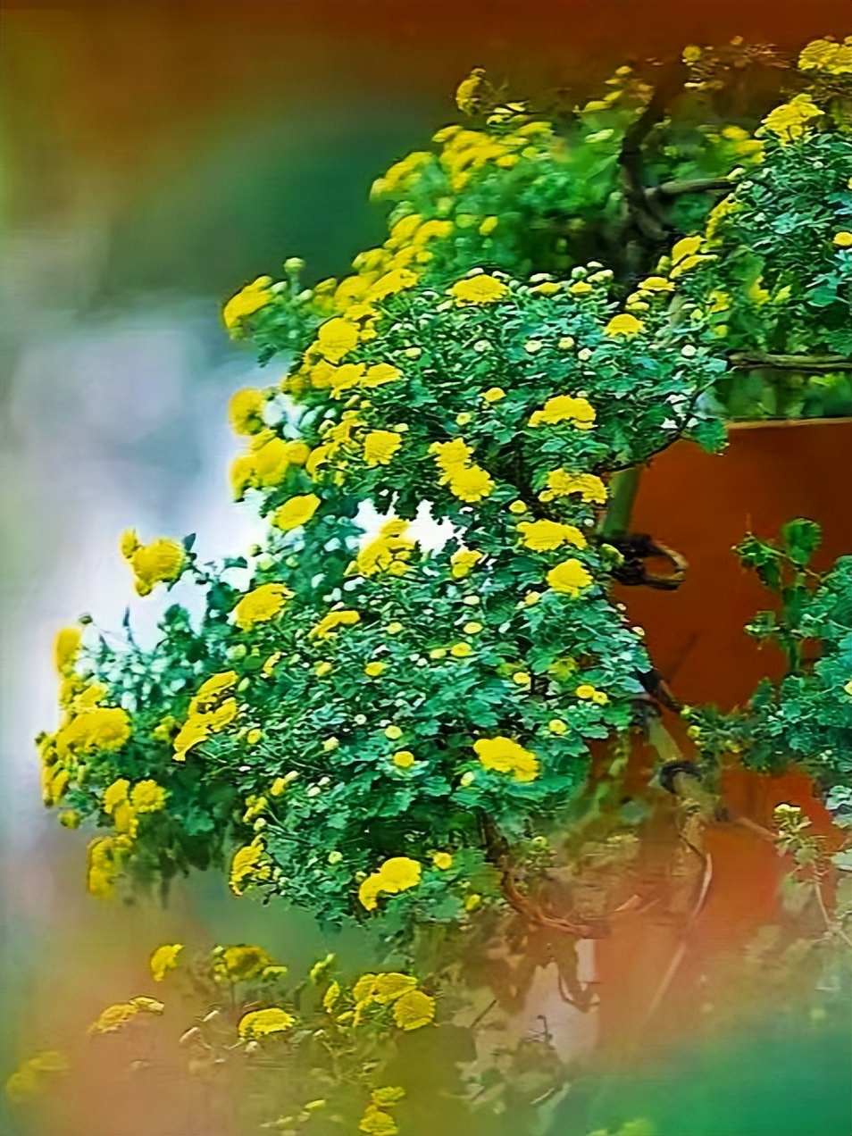 Literary poems, read "Chu Ci·Nine Chapters" - iNEWS