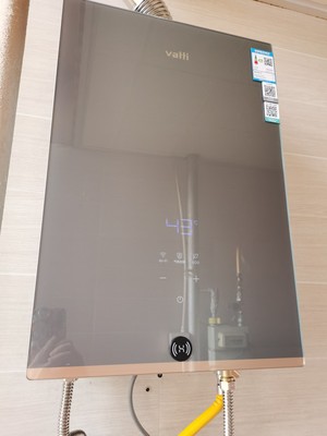 Vantage water heater: gas and electricity double-break, network control ...