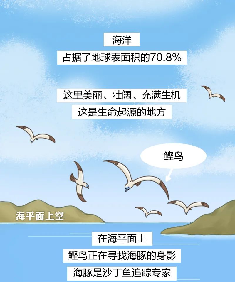 [World Oceans Day] Dive into the deep sea 4,000 meters, this ...