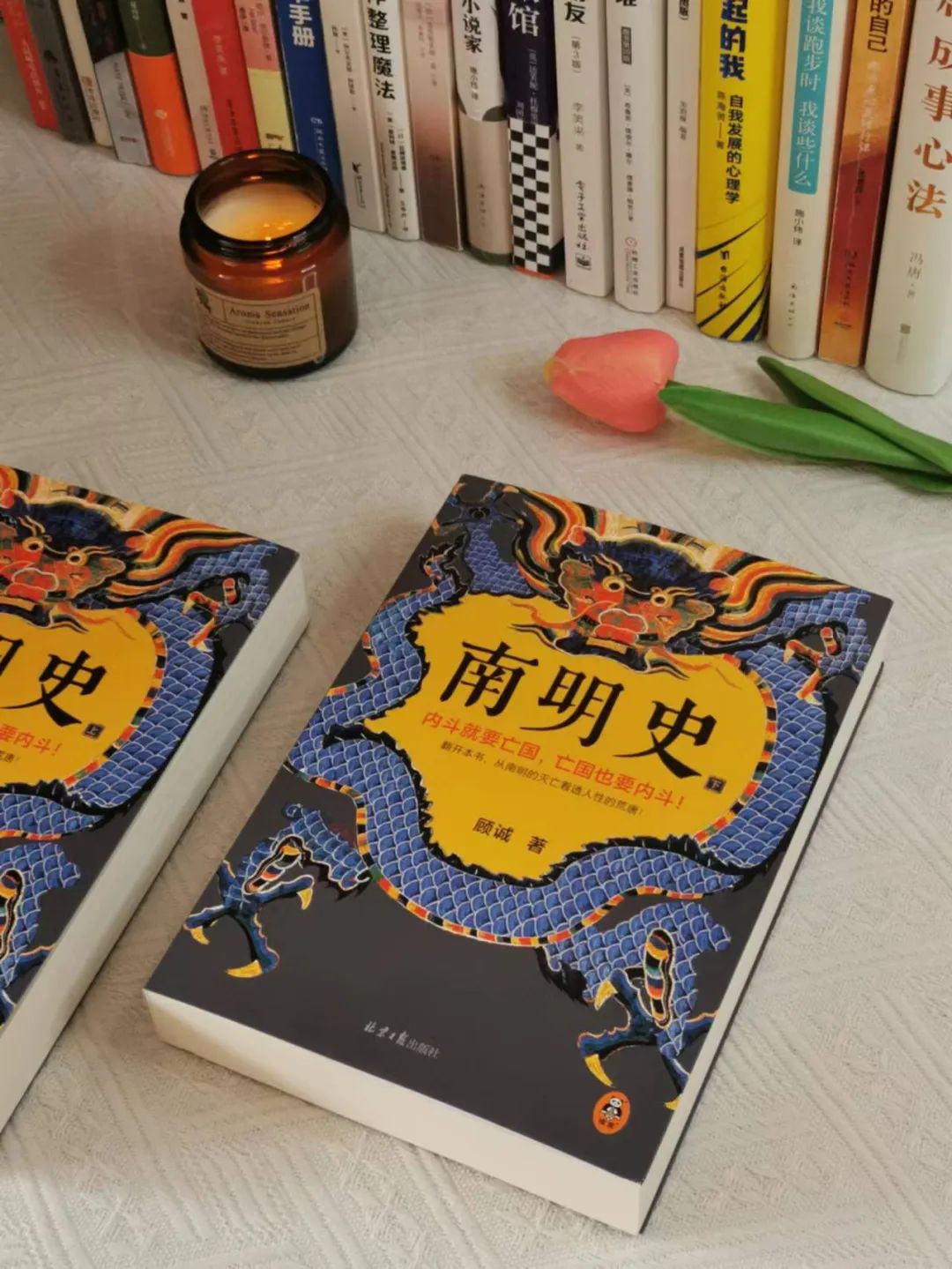 Reading "History of the Southern Ming Dynasty", watching the infighting ...