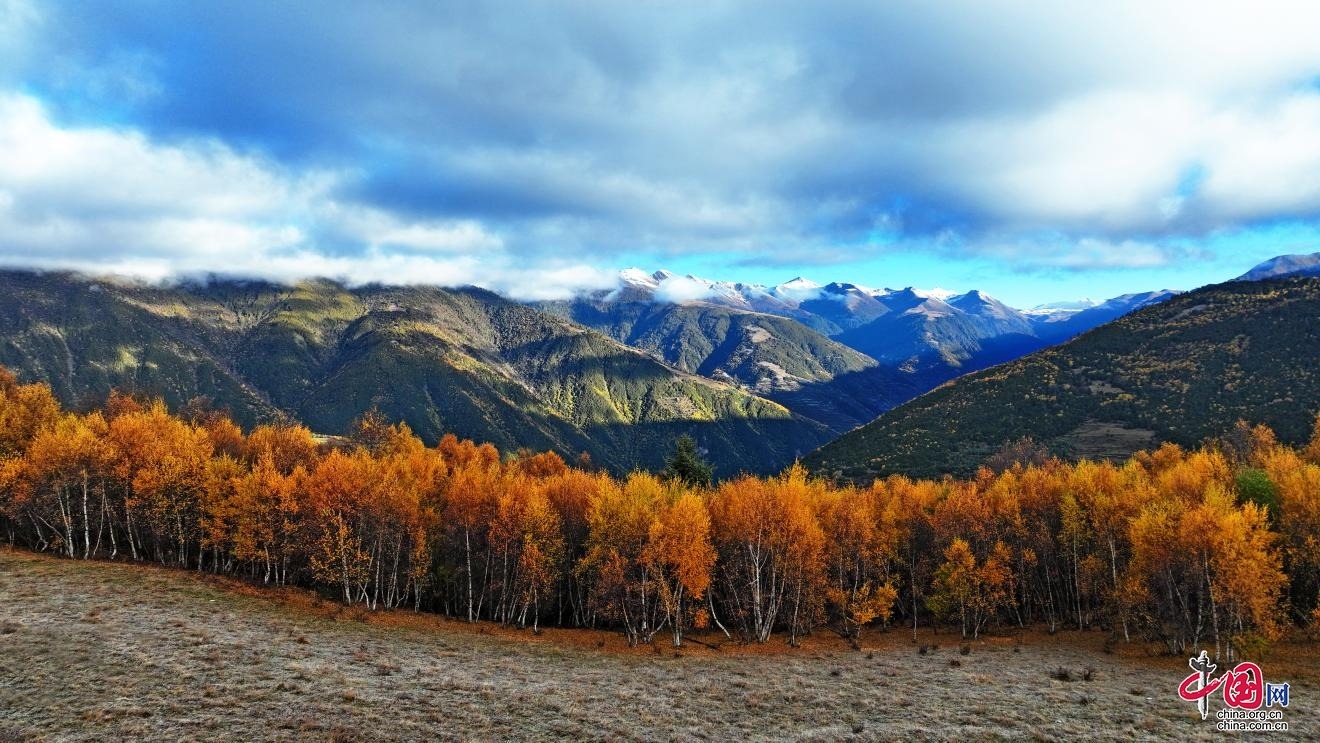 Malkang Jiarong Saima Mountain ushered in the colorful forest season ...